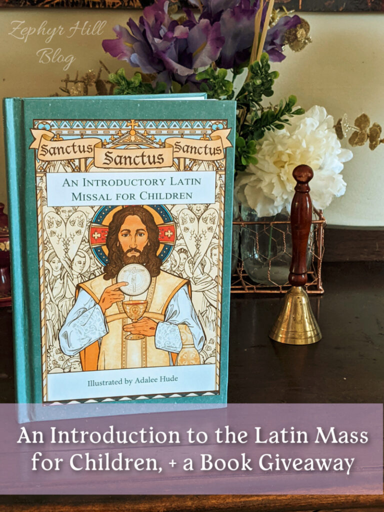 A Beautiful Introduction to the Latin Mass for Children + a Book Giveaway